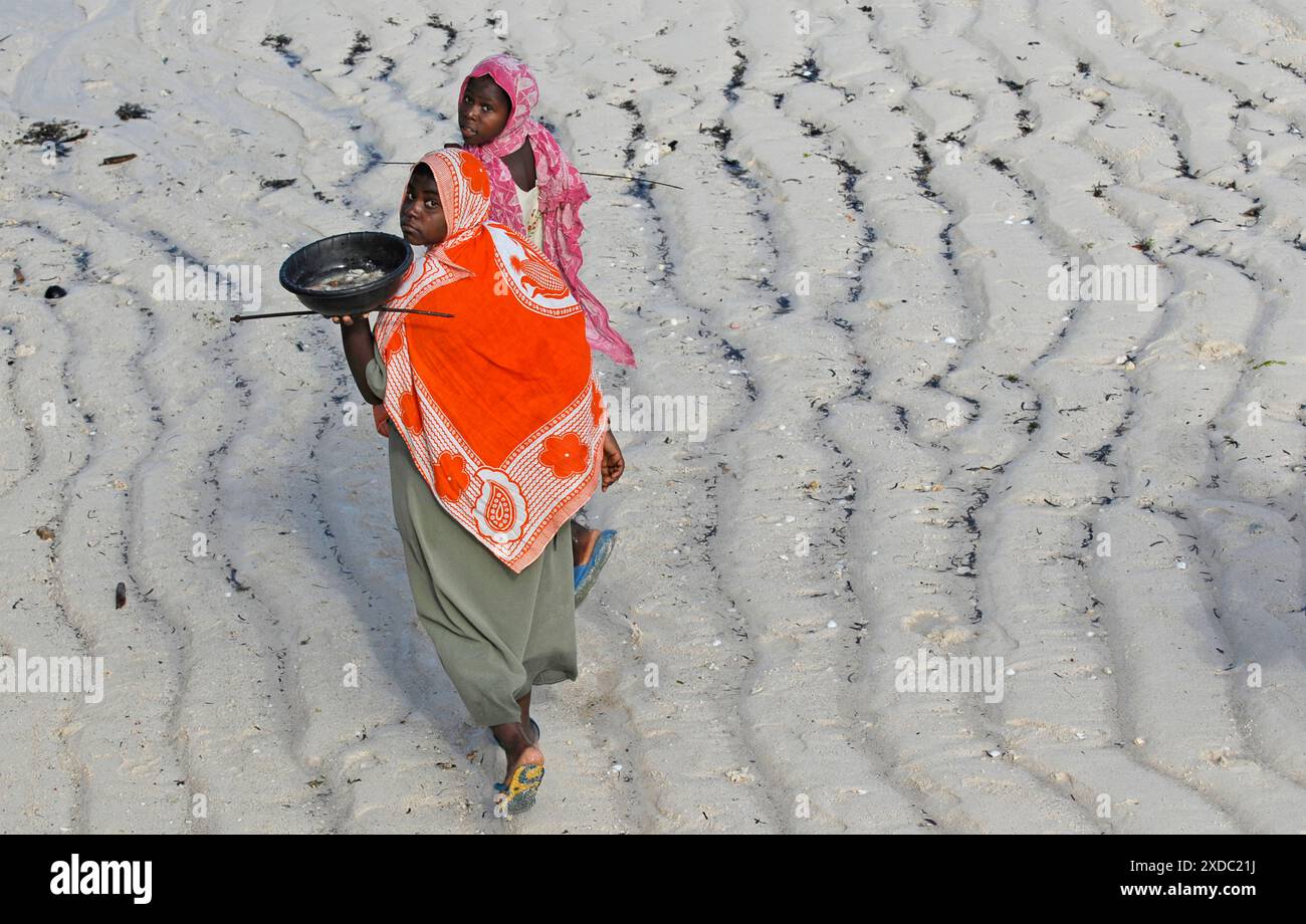 Africa Tanzania Zanzibar - Low tide at Kizimkazi beach Fisherwoman ...