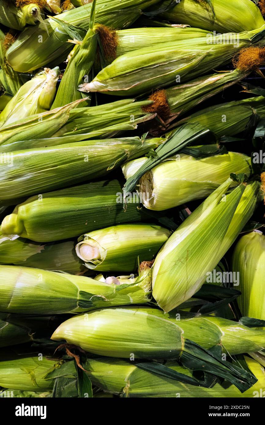 Fresh corn on the cob on display at a supermarket Stock Photo - Alamy