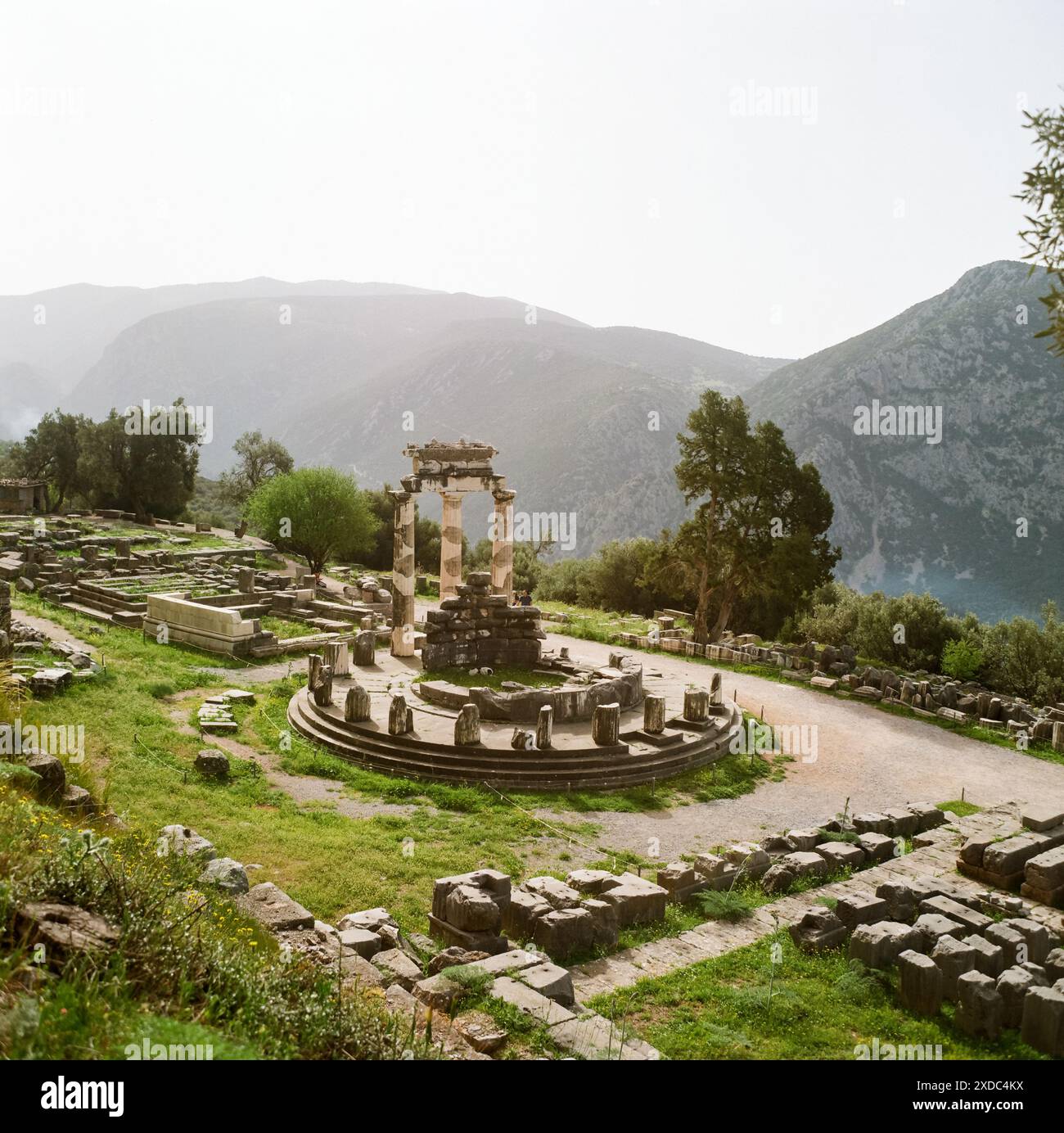 Temple of Athena Pronaia, Ancient Delphi, Thessaly, Greece Stock Photo ...