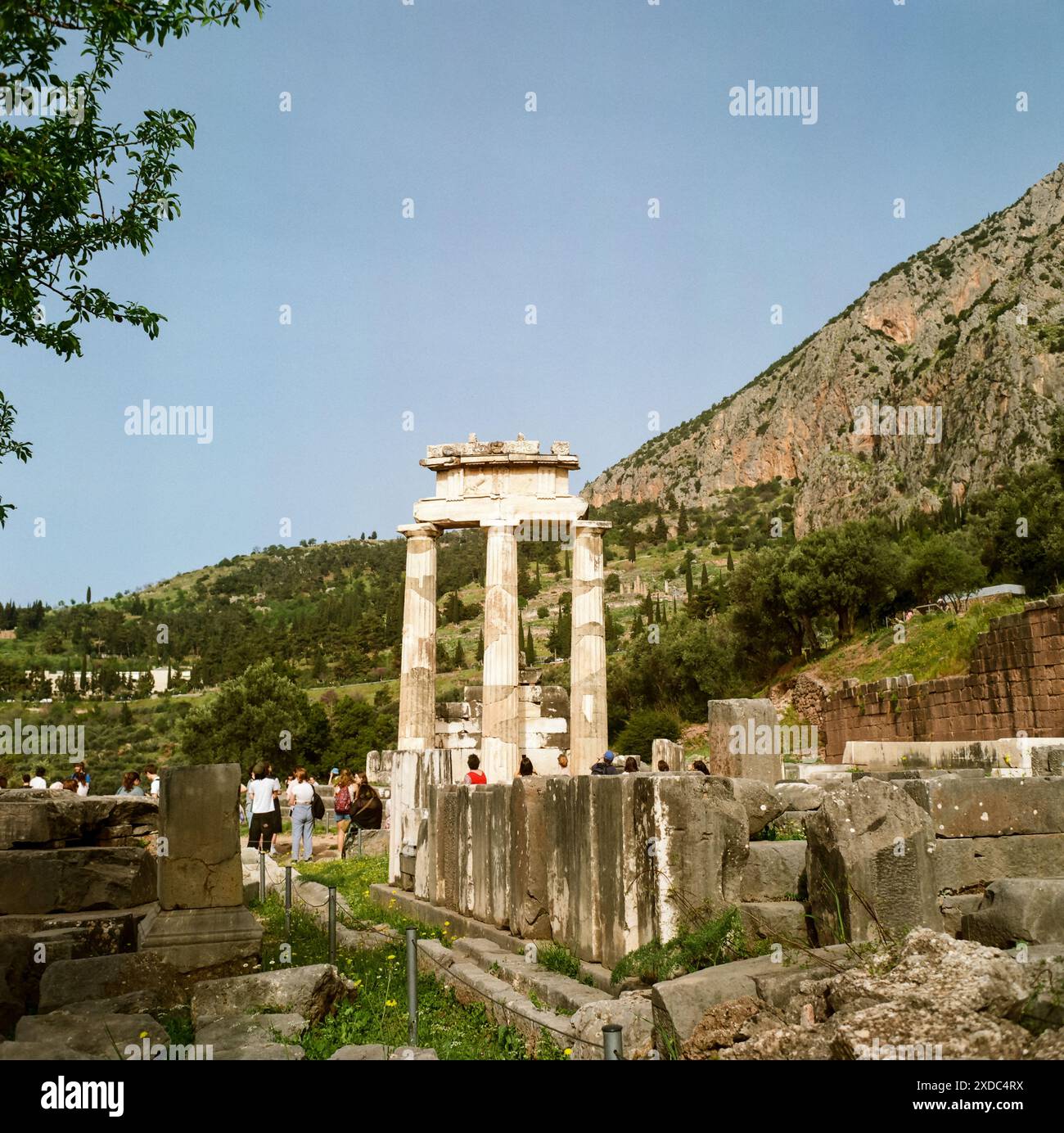 Temple of Athena Pronaia, Ancient Delphi, Thessaly, Greece Stock Photo ...