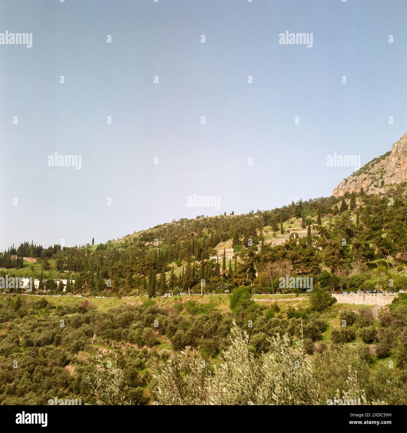 Ancient Delphi, Thessaly, Greece Stock Photo - Alamy