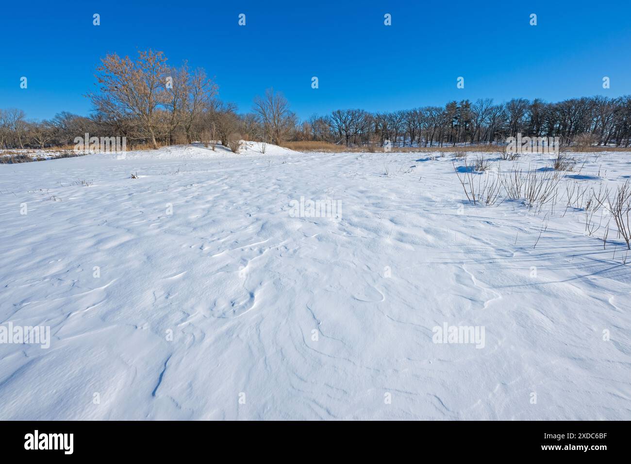 Wind Drifted Snow Patterns in a Frozen Meadow in Paul Doglas Preserve ...