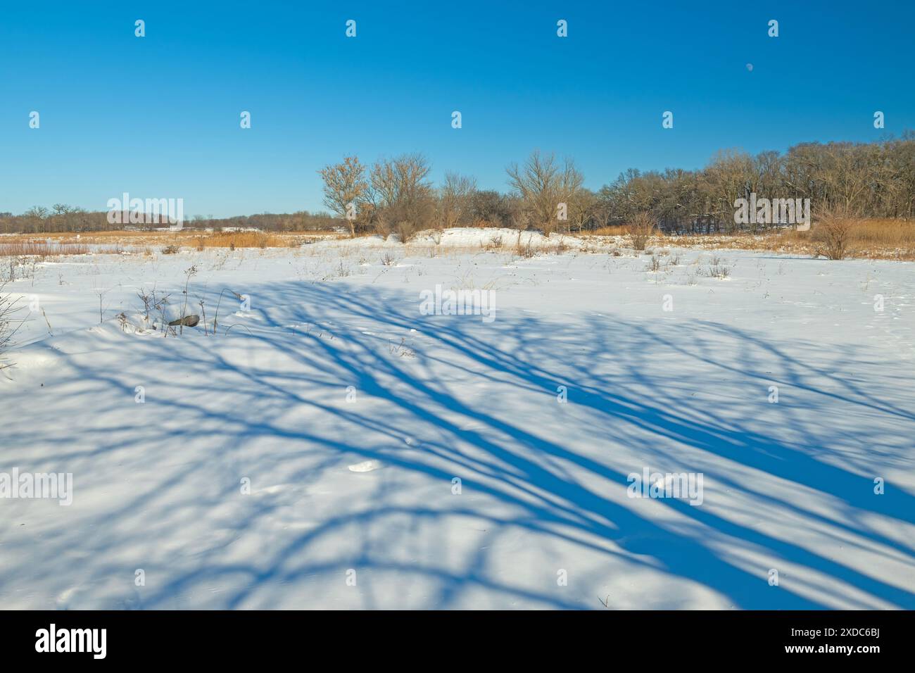 Paul douglas preserve hi-res stock photography and images - Alamy