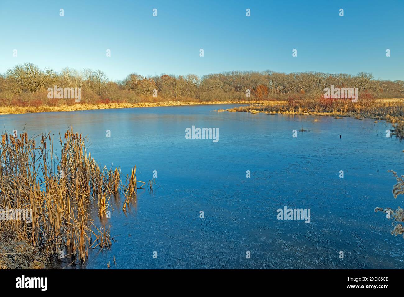 Frozen Wetland Pond on a Cold Morning in Volo Bog State Natural Area in ...