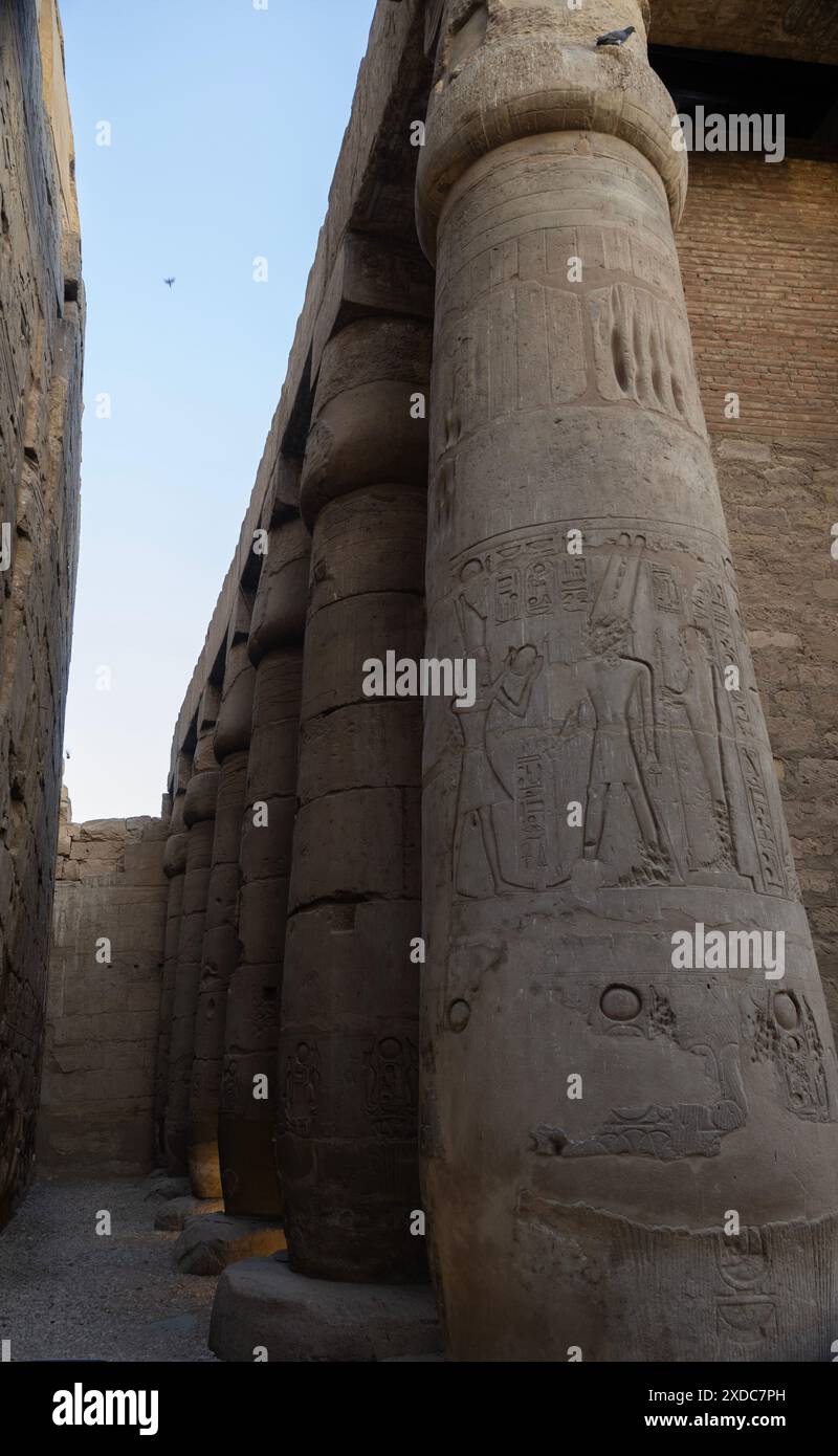 A column in the Temple of Amun-Ra (aka as Amun-Re), largest of the four ...
