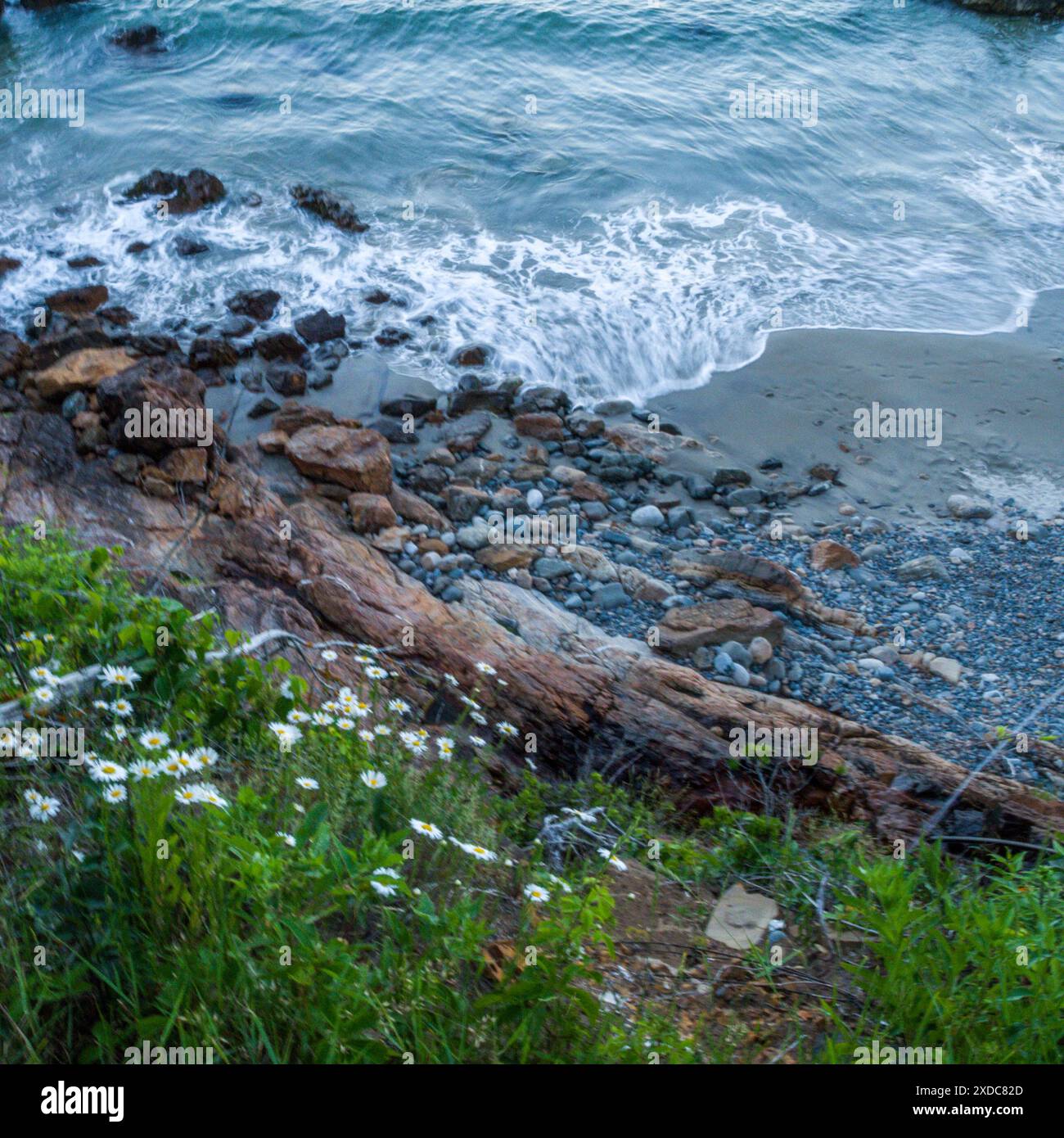 Waves on the Rocks, and Driftwood, Ogunquit, Maine, USA Stock Photo - Alamy