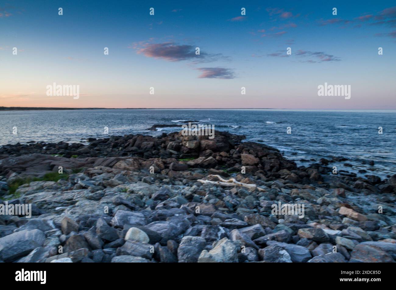 Driftwood and Rock Scene, Maine Stock Photo - Alamy