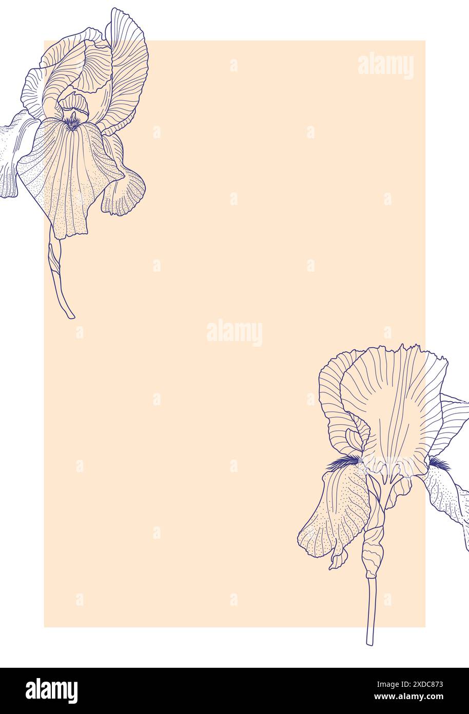 Iris flower, leaves card template outline hand drawn vector ...