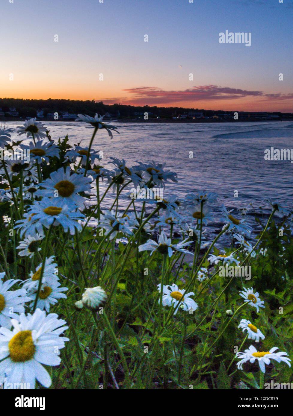 Marginal Way Sunset, Maine, USA Stock Photo - Alamy