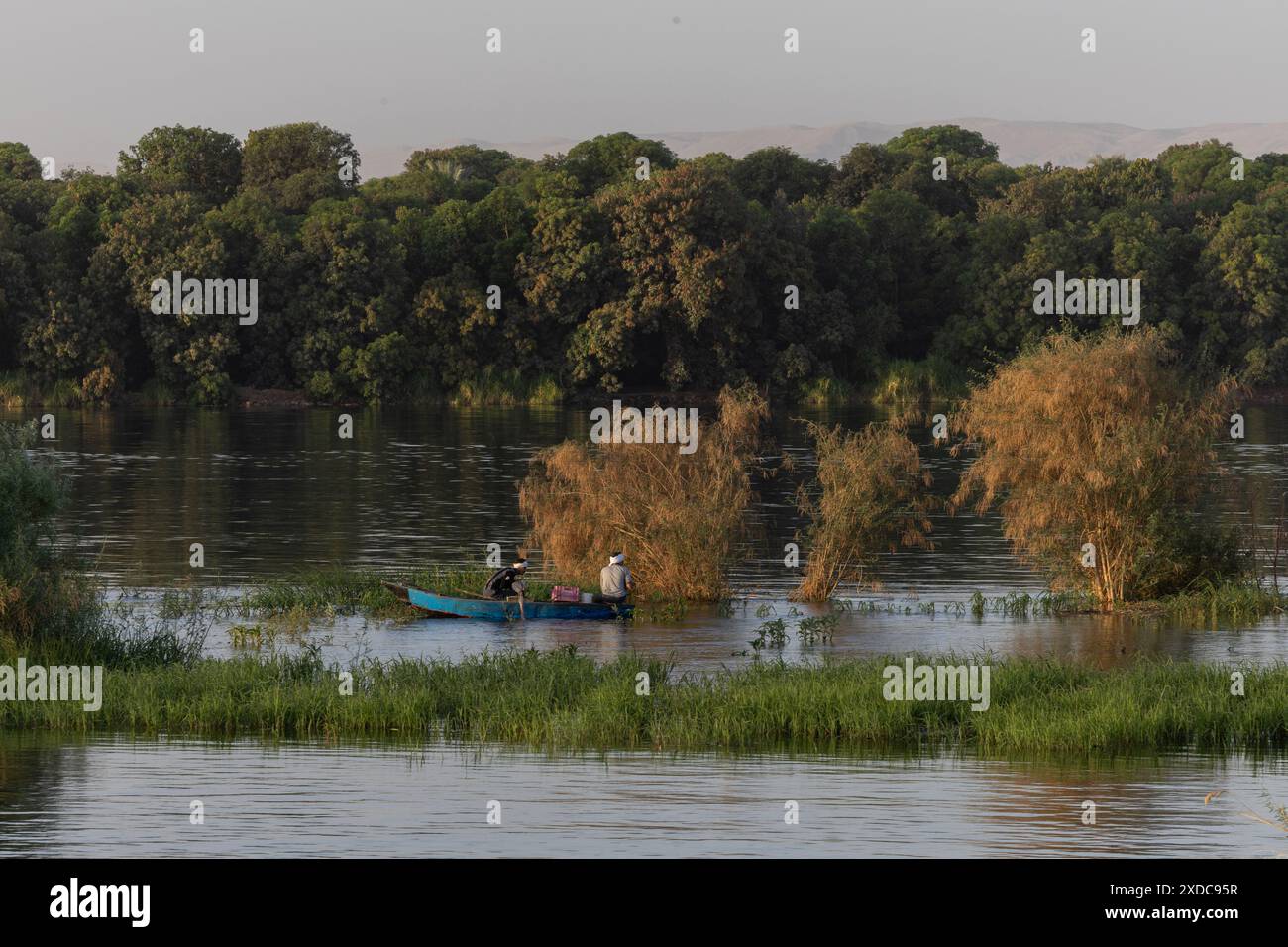Egyptian fishermen out amongst the reeds on the Nile River at daybreak ...