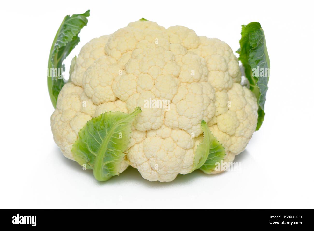 Whole head of the fresh raw cauliflower with some leaves close-up on a ...
