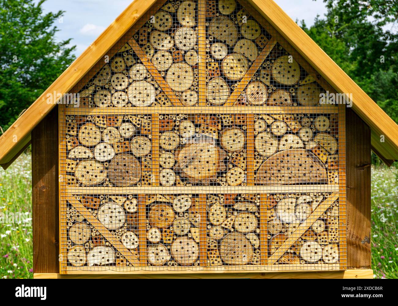 Insect hotel, wildflower meadow at the park cemetery in Essen, the ...