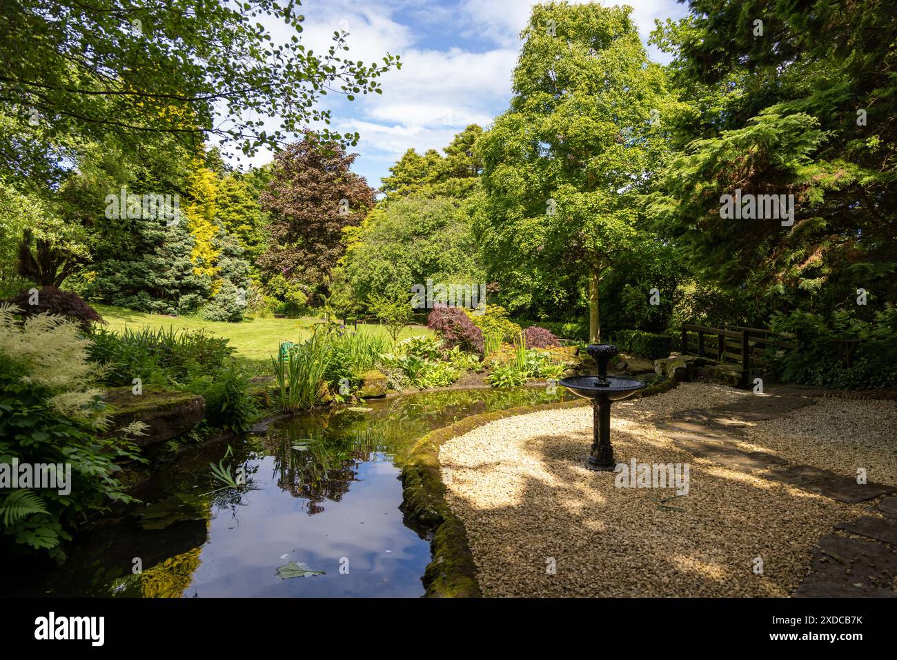 Scottish garden sky and trees hi-res stock photography and images - Alamy