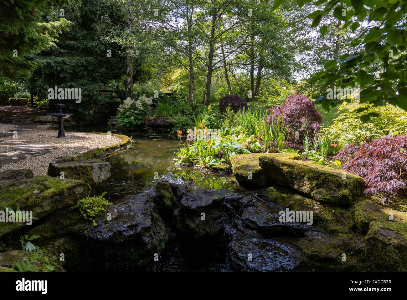 Scottish japanese hi-res stock photography and images - Alamy