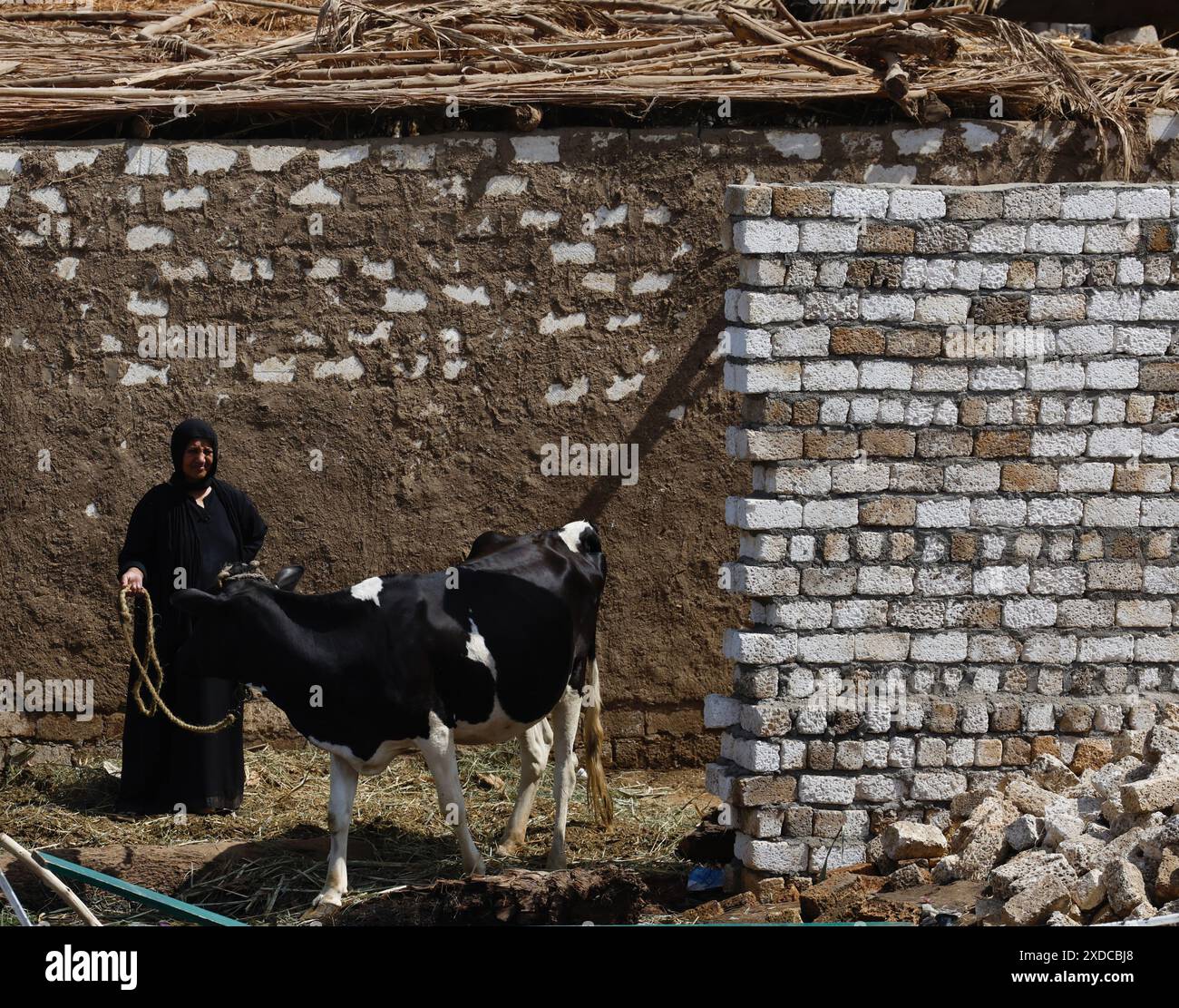 Egyptian woman old hi-res stock photography and images - Alamy