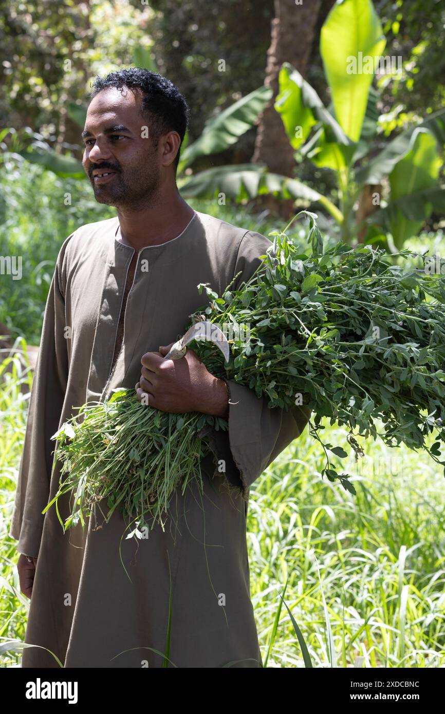 A gallibaya-clad farmer in Bisaw, a village on an island in the Nile ...
