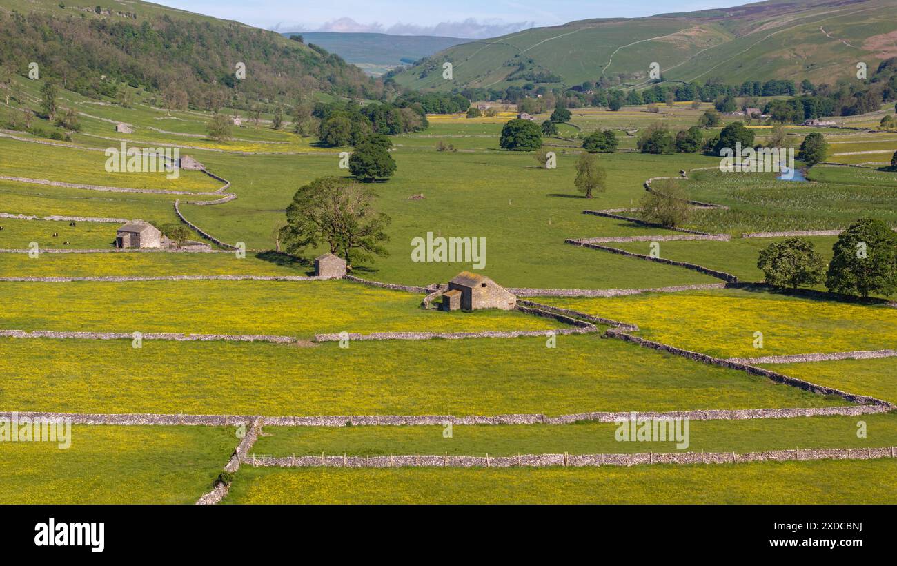 A drone's eye view shows the expanse of the buttercup dotted meadows ...