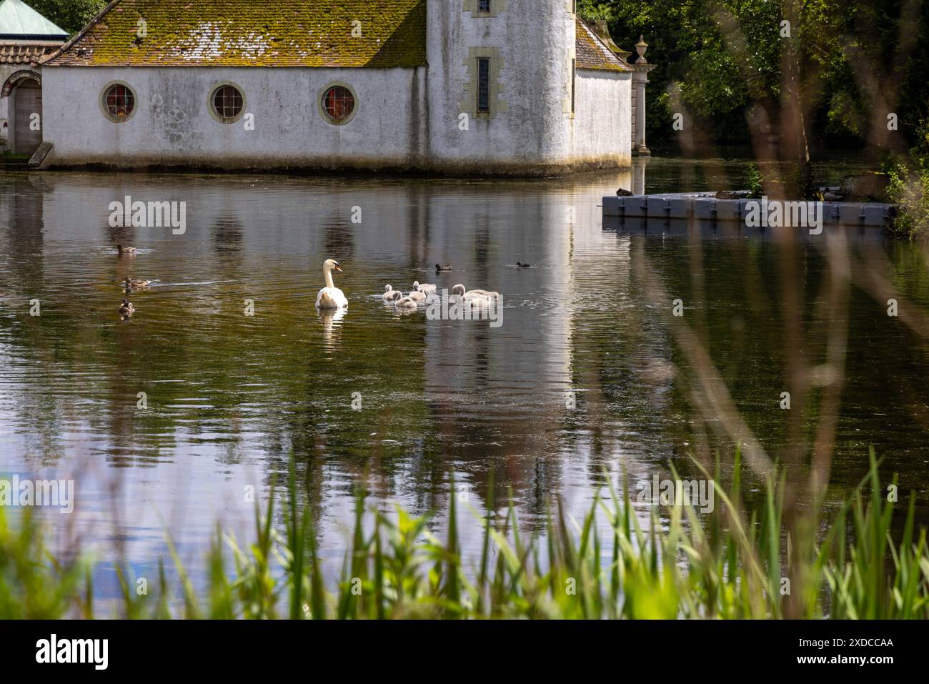 Village of fife lake hi-res stock photography and images - Alamy