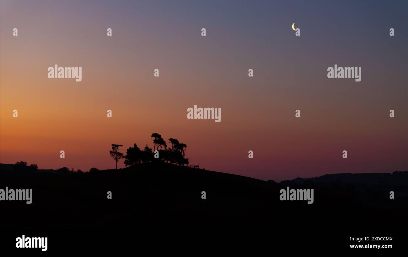 Dramatic silhouettes against the dusk sky with a crescent moon above ...
