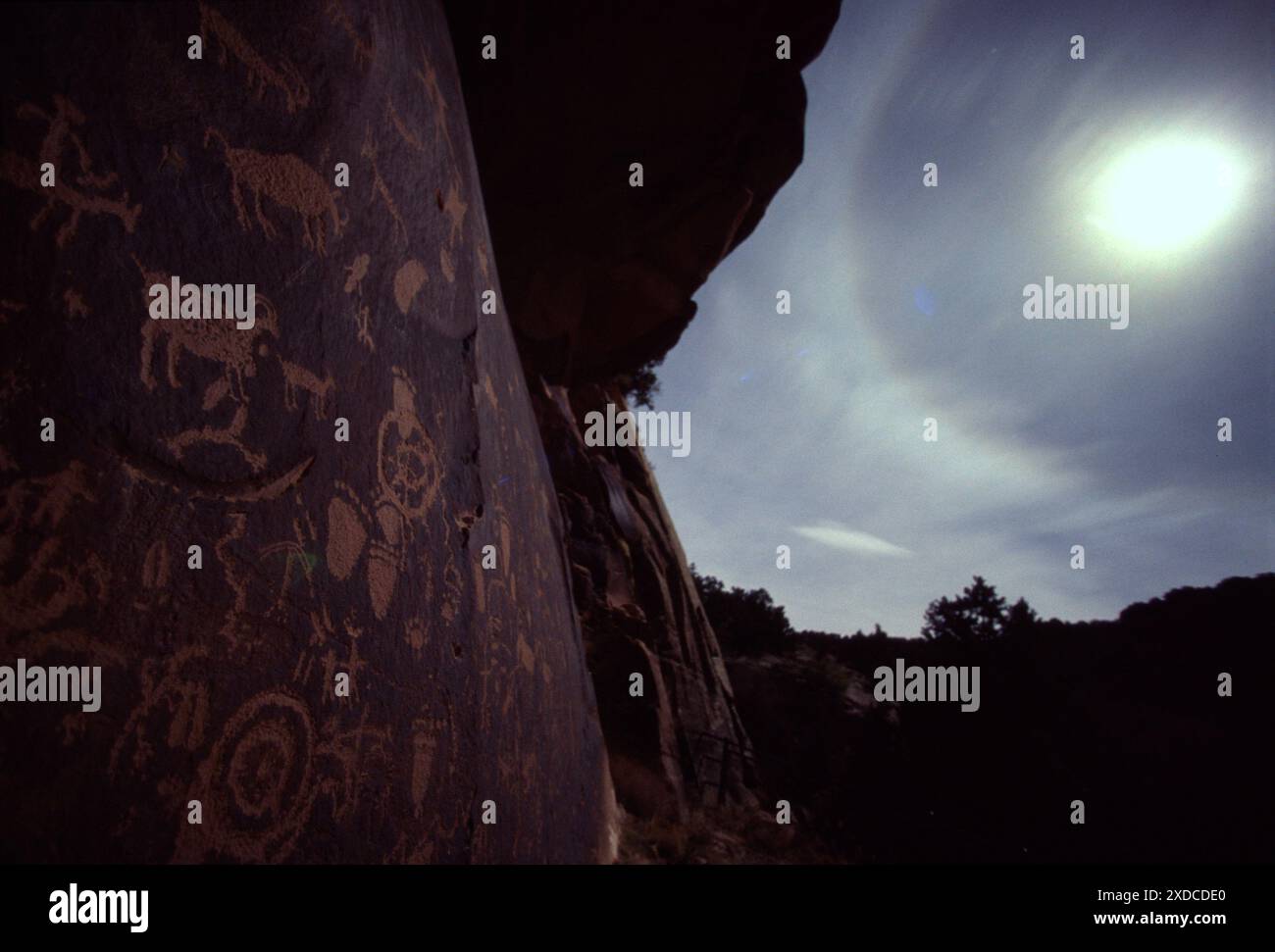 Petroglyph panel depicts animals and symbols by the light of the moon ...