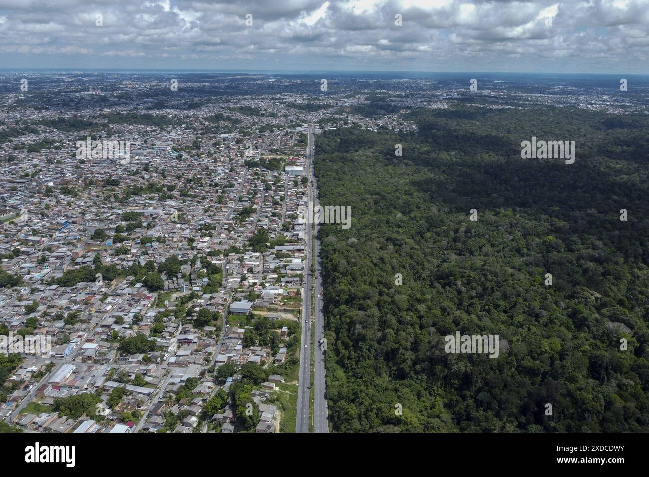 Reserva florestal ducke hi-res stock photography and images - Alamy