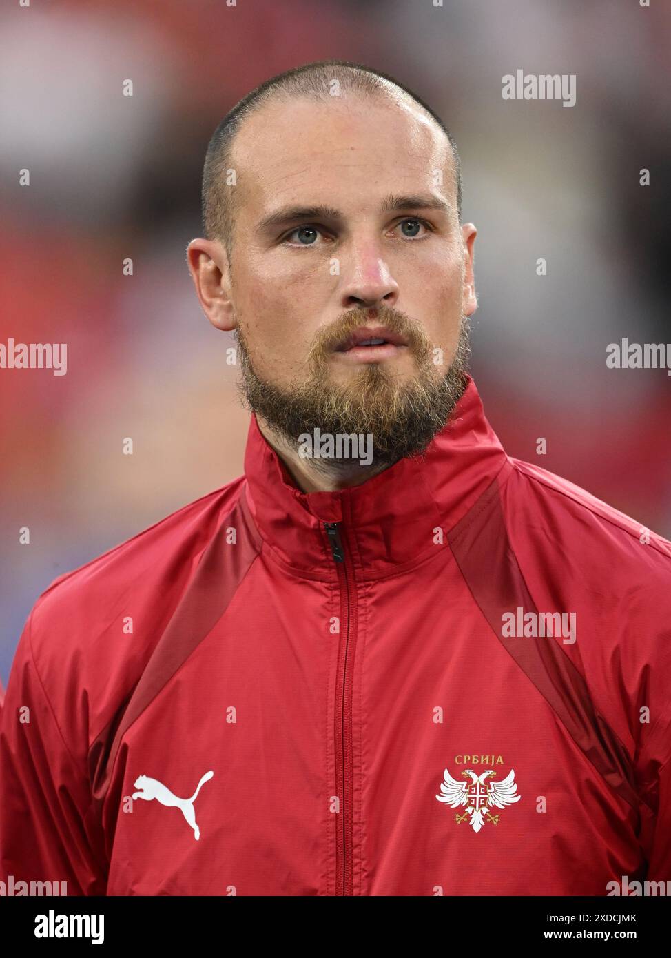 GELSENKIRCHEN - Serbia goalkeeper Predrag Rajkovic during the UEFA EURO ...