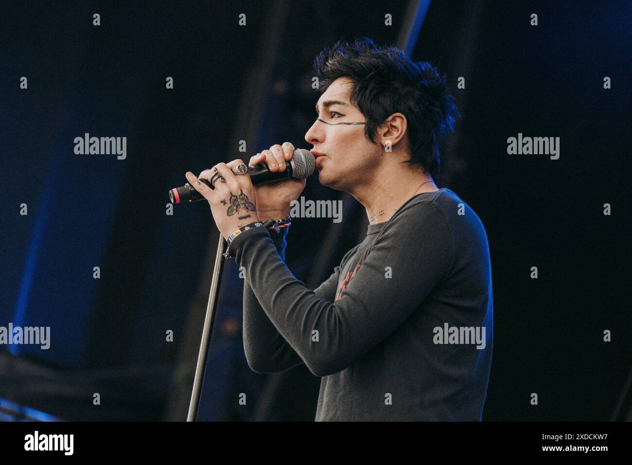 Copenhagen, Denmark. 19th, June 2024. The American rock band Palaye ...