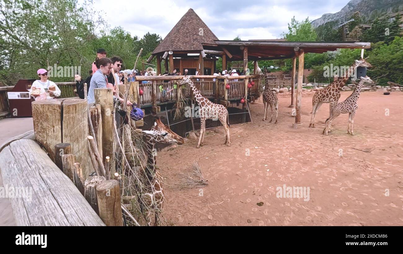 Interactive Zoo Experience in Colorado Springs, Colorado Featuring ...