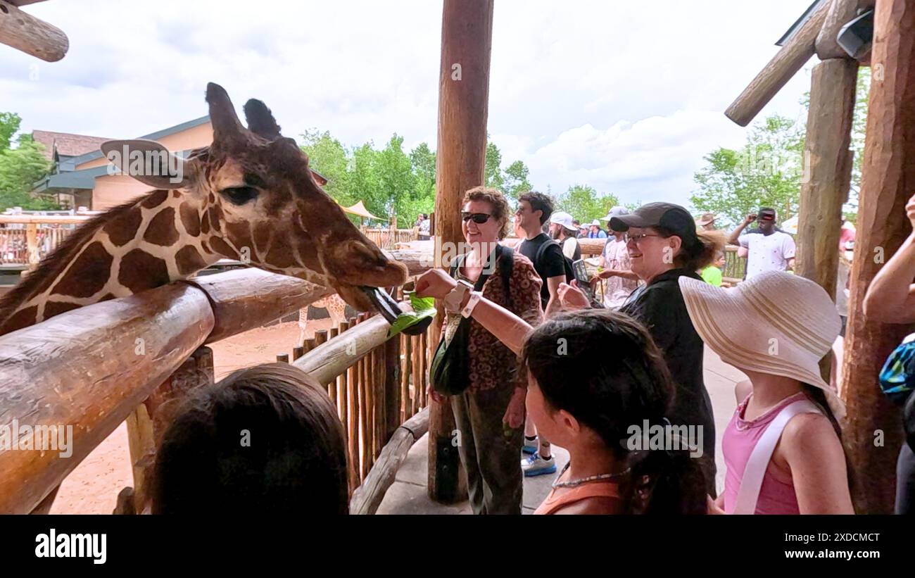 Interactive Zoo Experience in Colorado Springs, Colorado Featuring ...