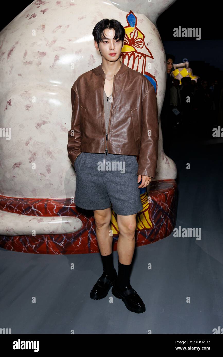 Paris, France. 21st June, 2024. Cha Eun-woo attends DIOR Men Spring ...