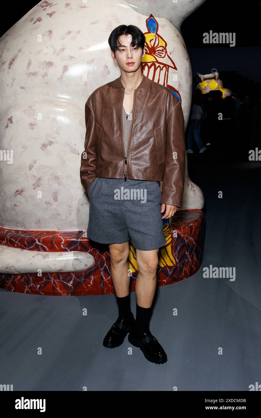 Paris, France. 21st June, 2024. Cha Eun-woo attends DIOR Men Spring ...