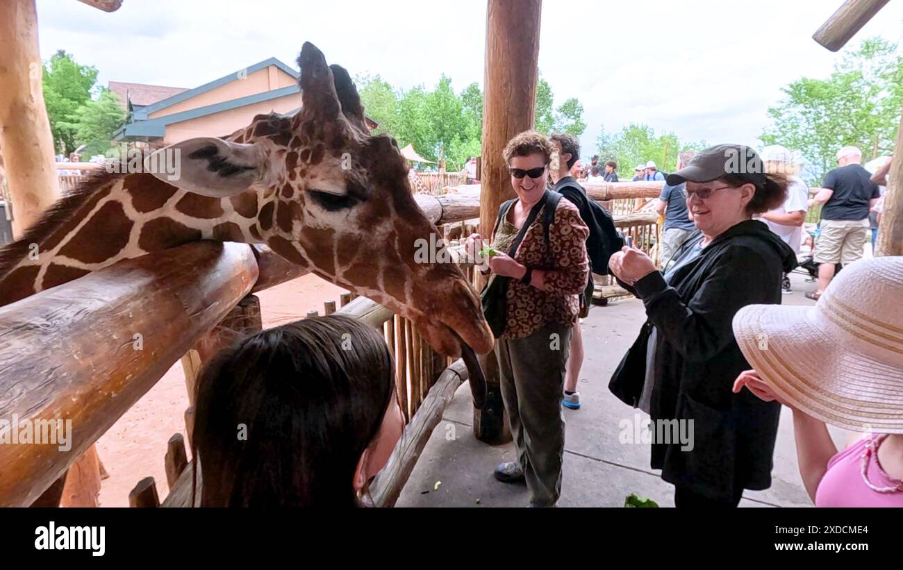 Interactive Zoo Experience in Colorado Springs, Colorado Featuring ...
