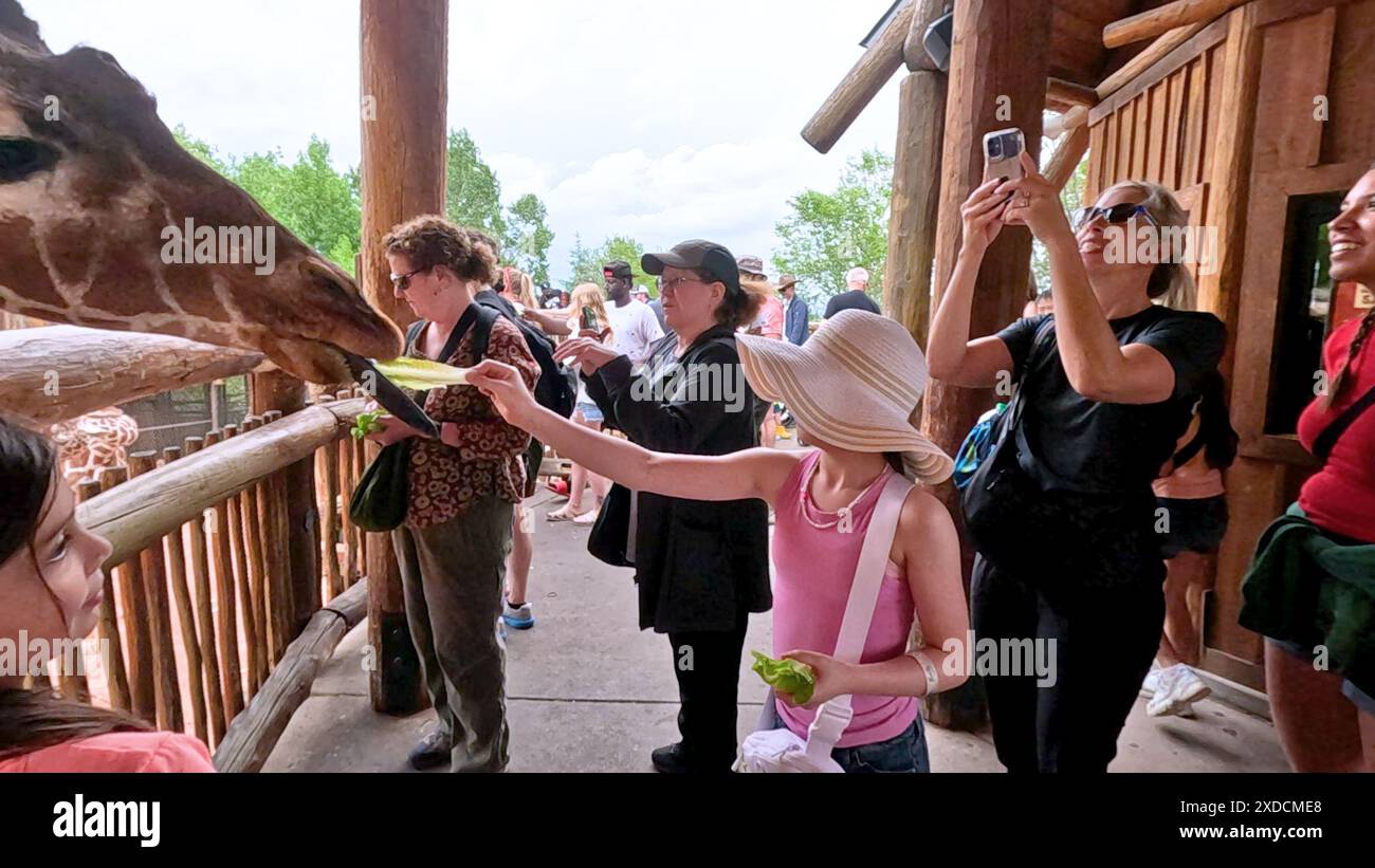 Interactive Zoo Experience in Colorado Springs, Colorado Featuring ...