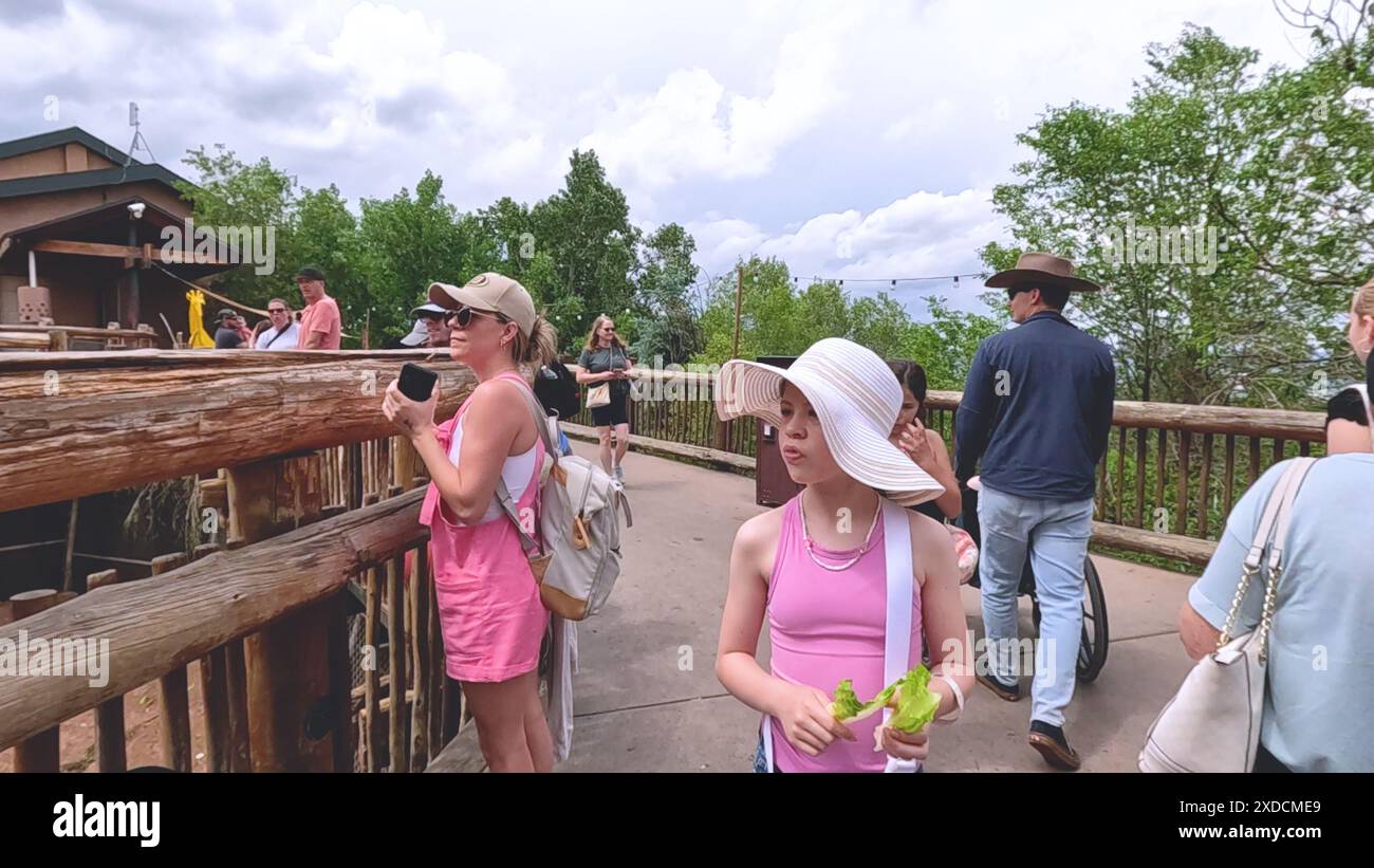 Interactive Zoo Experience in Colorado Springs, Colorado Featuring ...