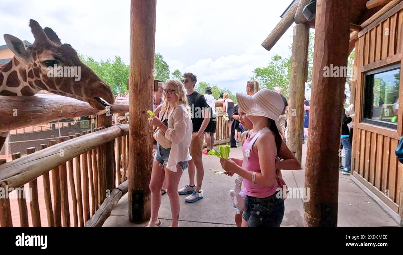 Interactive Zoo Experience in Colorado Springs, Colorado Featuring ...