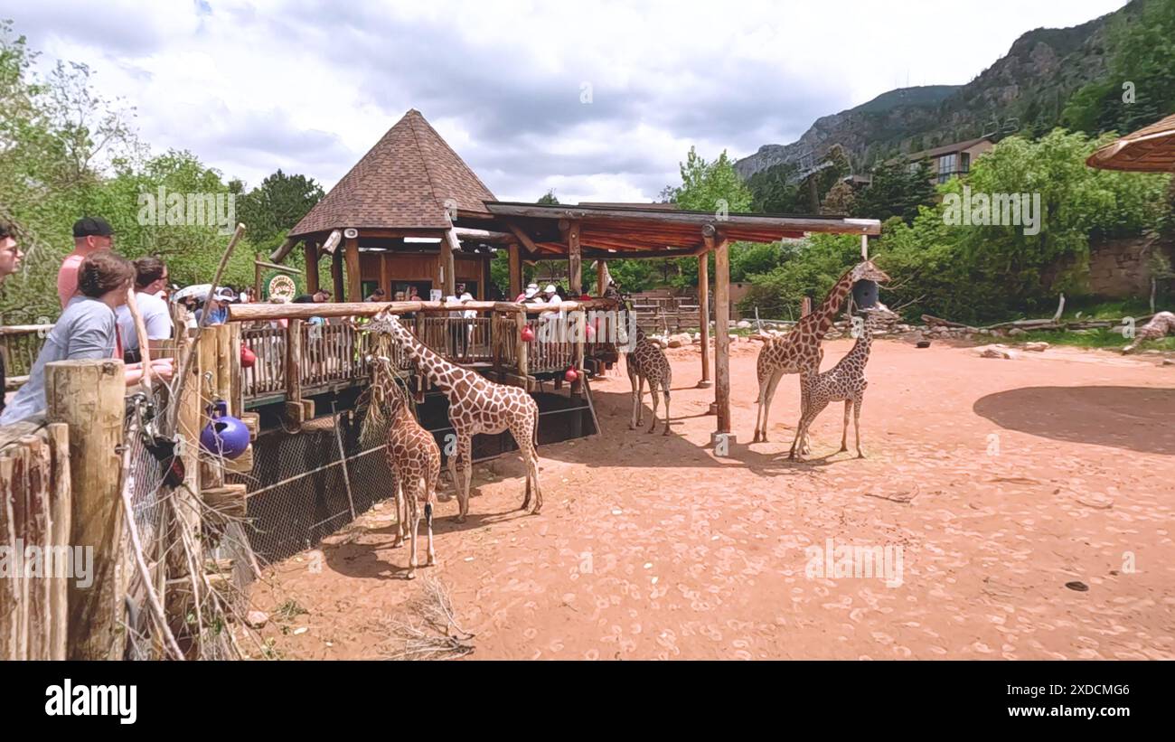 Interactive Zoo Experience in Colorado Springs, Colorado Featuring ...