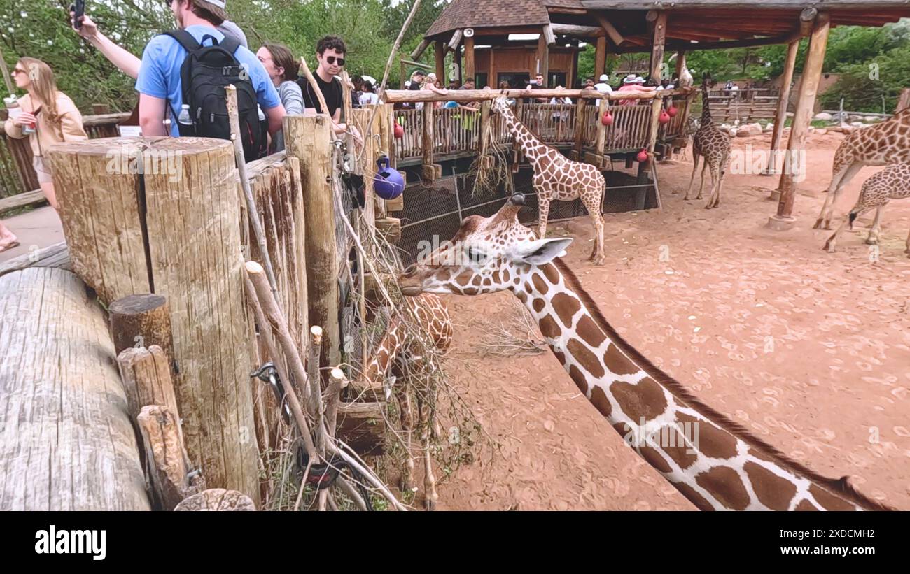 Interactive Zoo Experience in Colorado Springs, Colorado Featuring ...