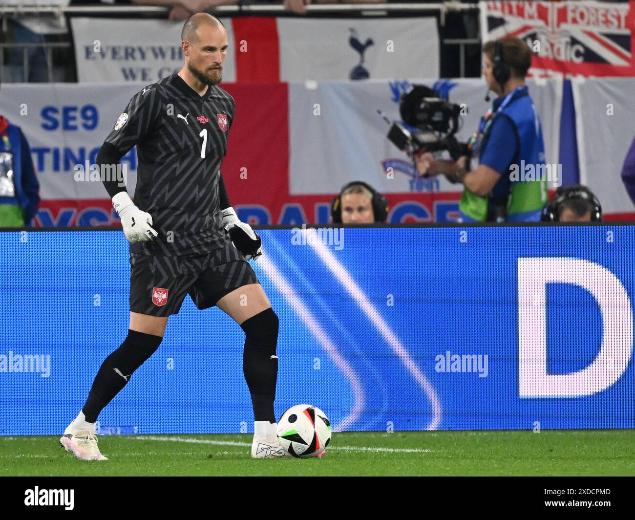 GELSENKIRCHEN - Serbia goalkeeper Predrag Rajkovic during the UEFA EURO ...