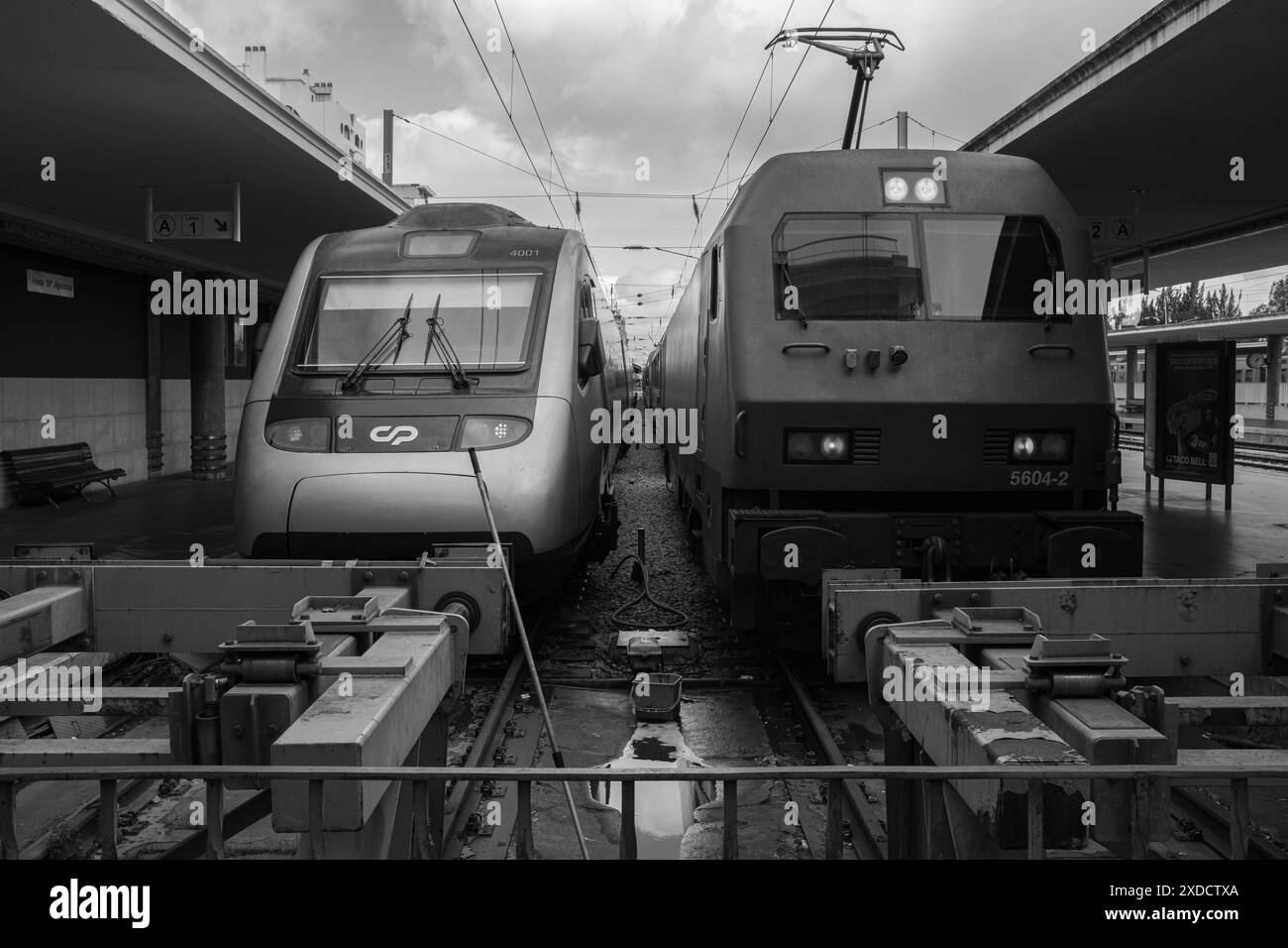 Modern passenger trains stand under the roof of a railway station in ...