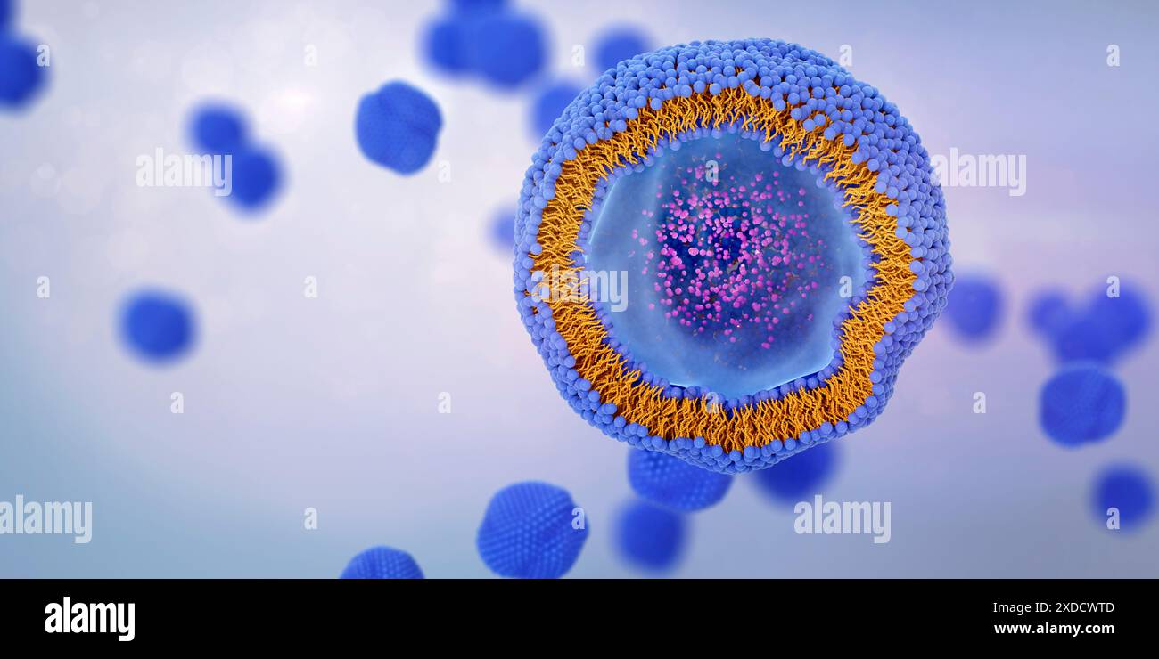 Illustration of a cross-section. Liposomes are artificial vesicles ...