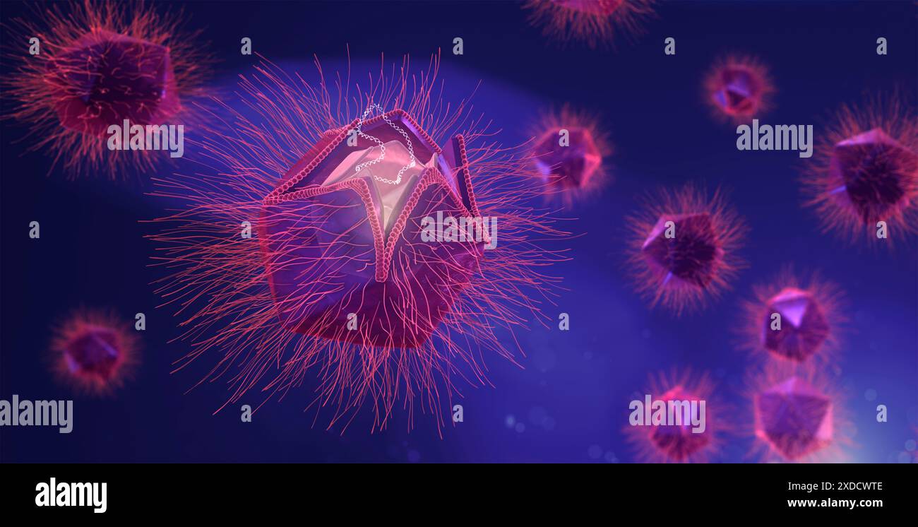 Illustration of giant virus (phylum Nucleocytoviricota) particles ...