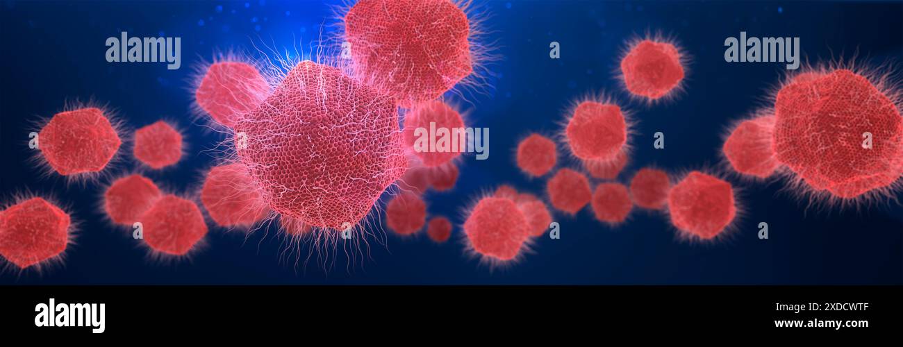 Illustrations of giant virus (phylum Nucleocytoviricota) particles ...