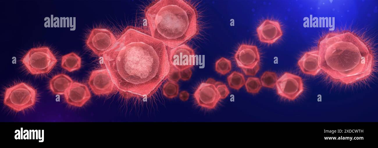 Illustrations of giant virus (phylum Nucleocytoviricota) particles ...