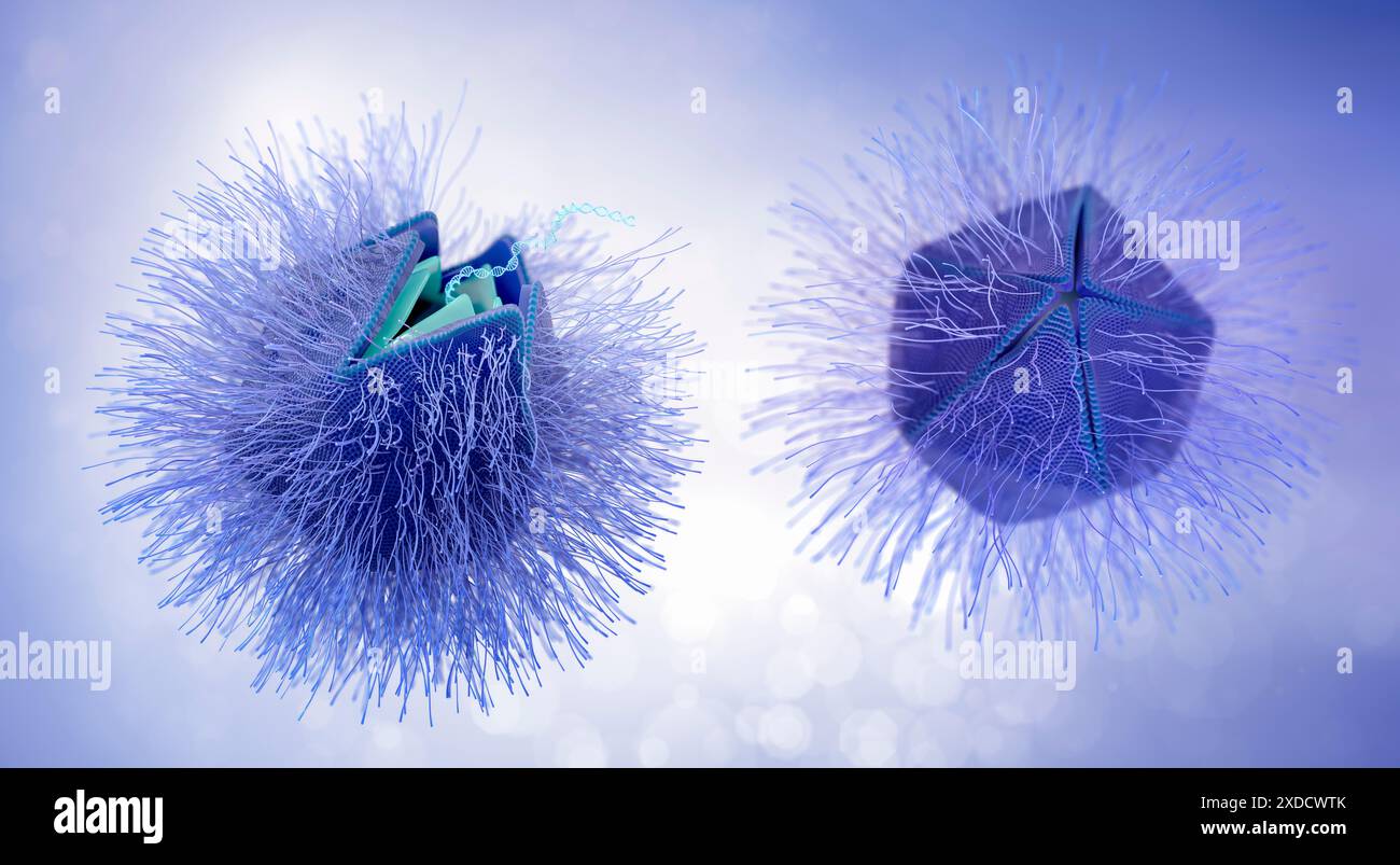 Illustration of giant virus (phylum Nucleocytoviricota) particles ...