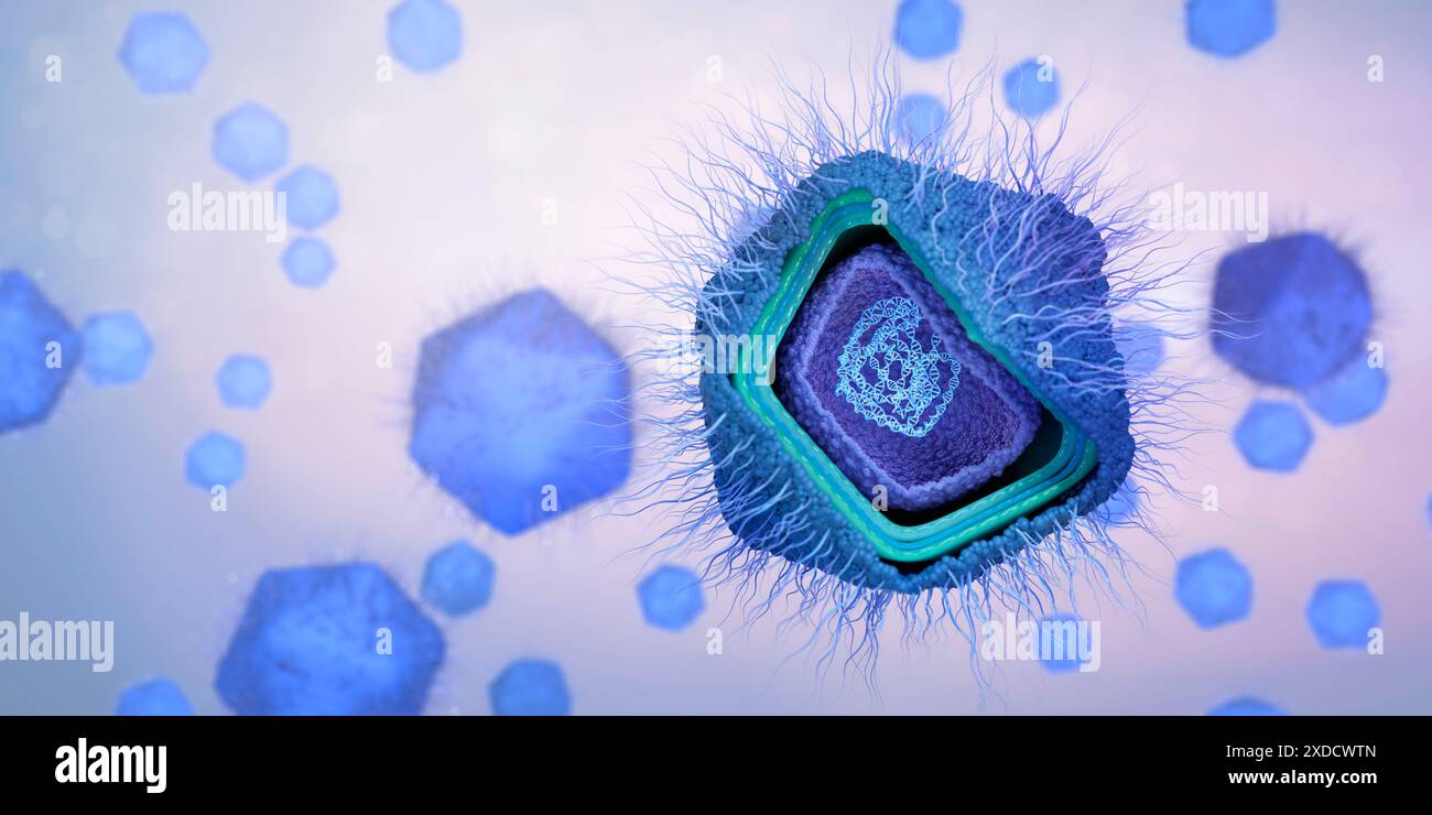Giant virus structure hi-res stock photography and images - Alamy