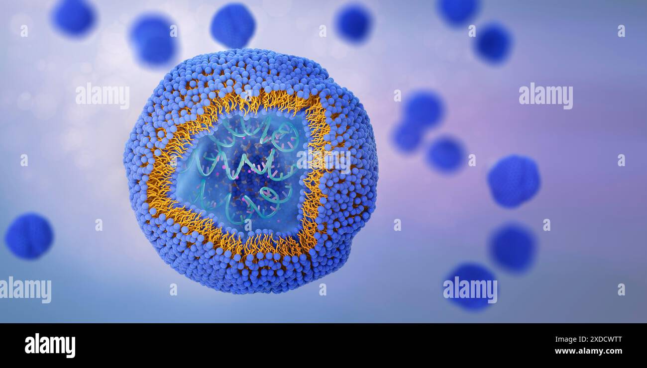 Illustration of a cross-section of a liposome containing RNA. Liposomes ...