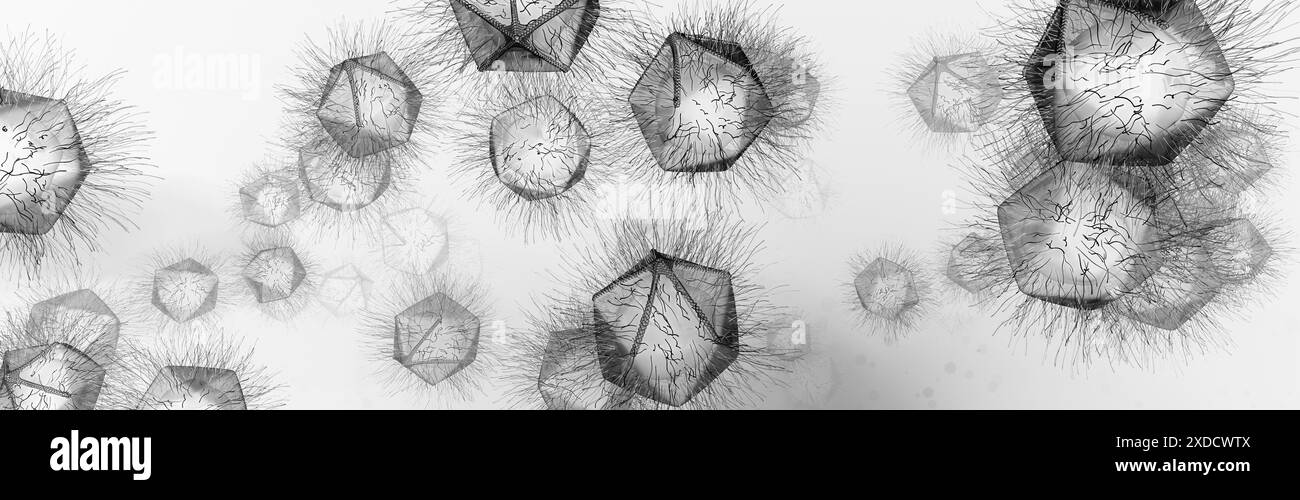 Illustrations of giant virus (phylum Nucleocytoviricota) particles ...