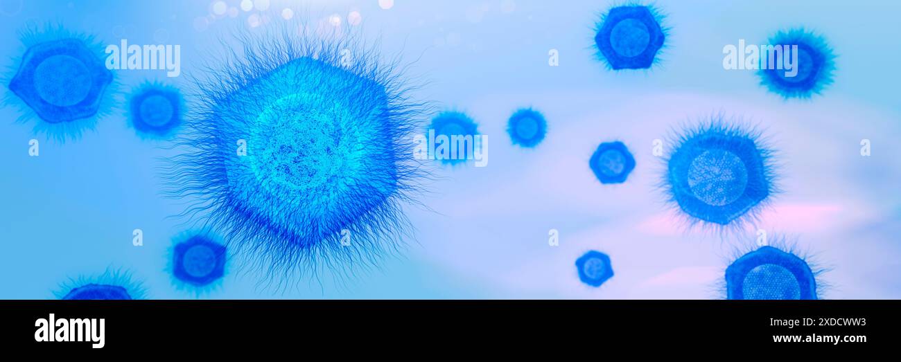 Illustrations of giant virus (phylum Nucleocytoviricota) particles ...