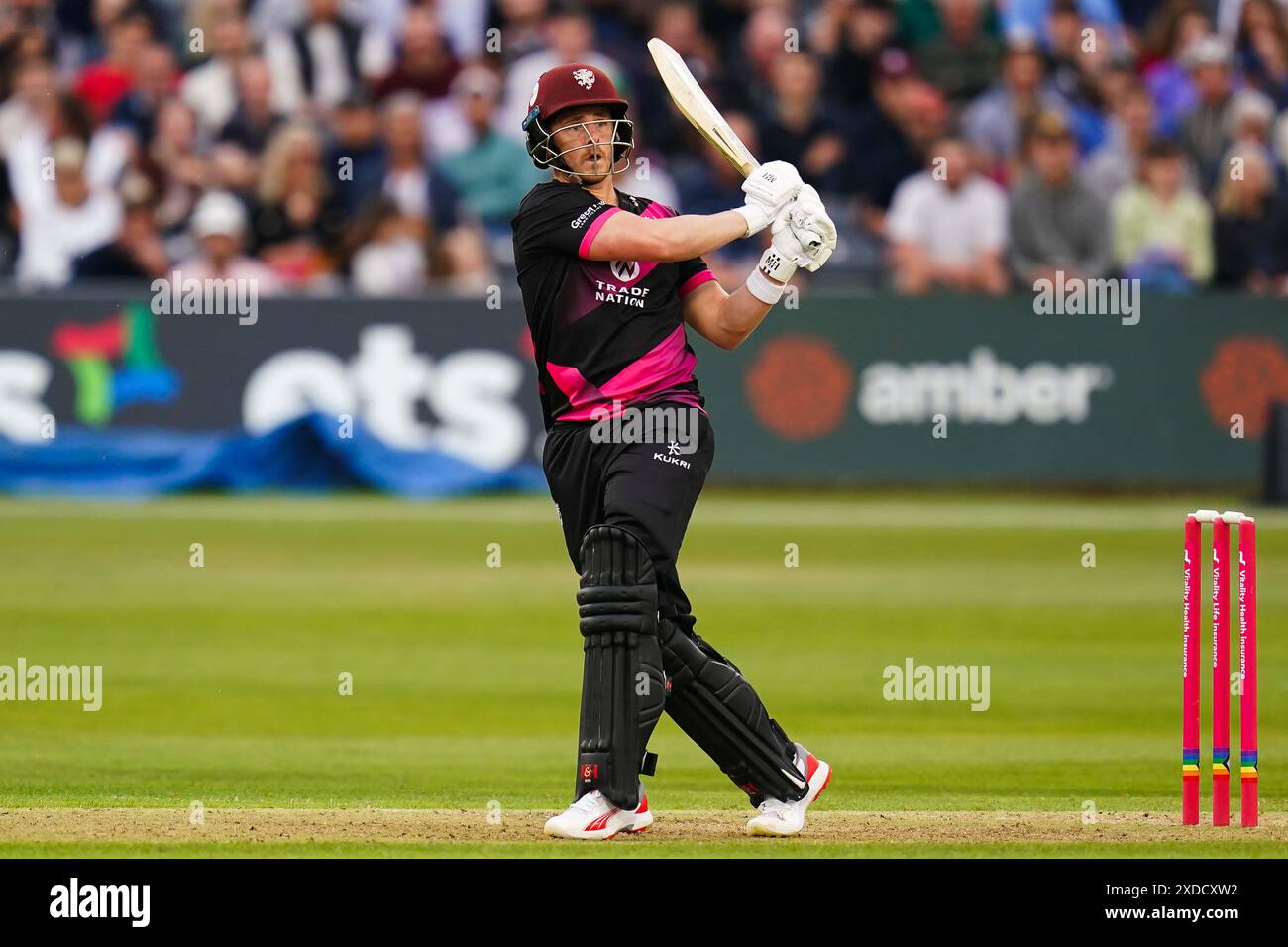 Cricket tom abell hi-res stock photography and images - Alamy