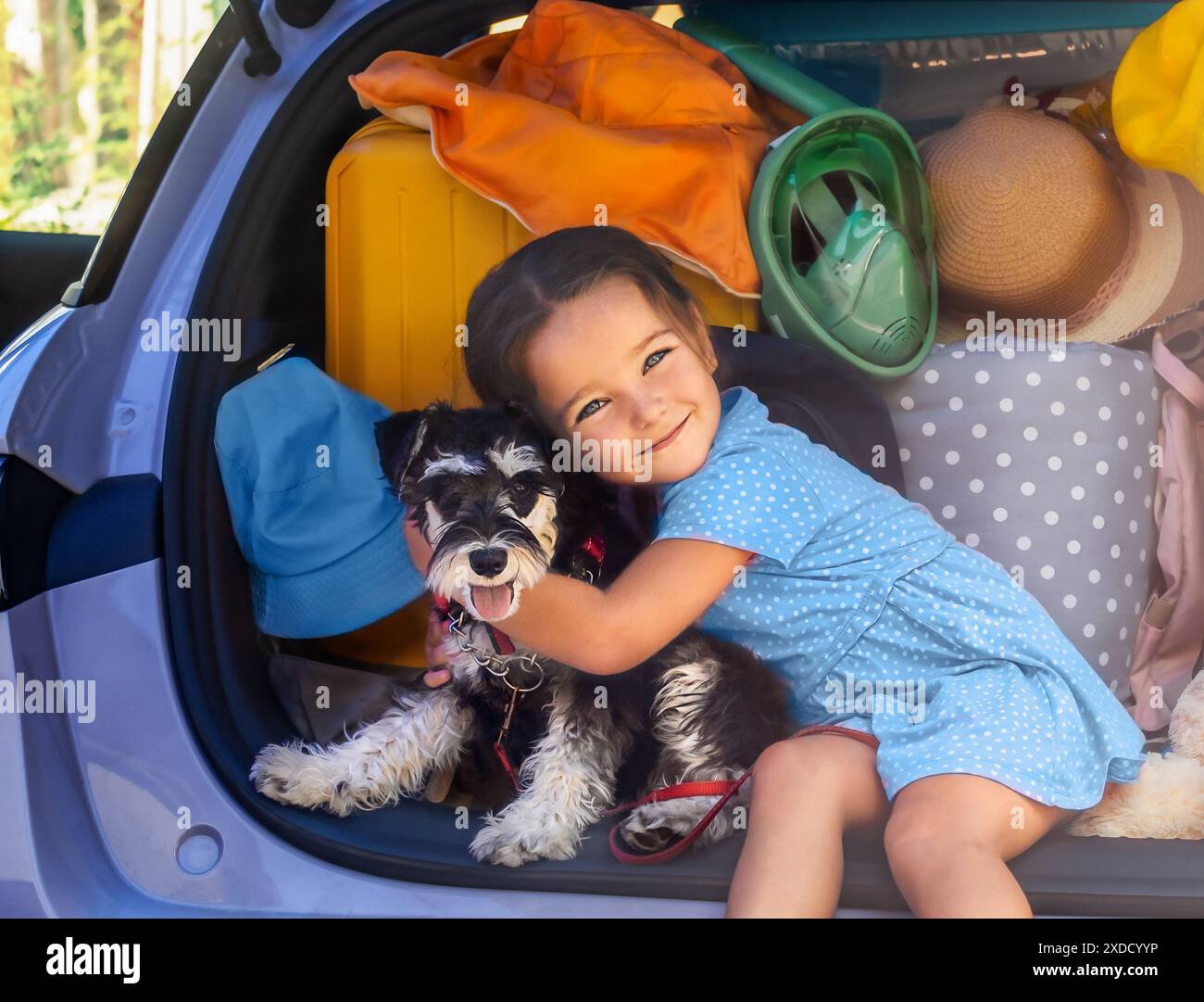 Portrait child schnauzer dog hi-res stock photography and images - Alamy